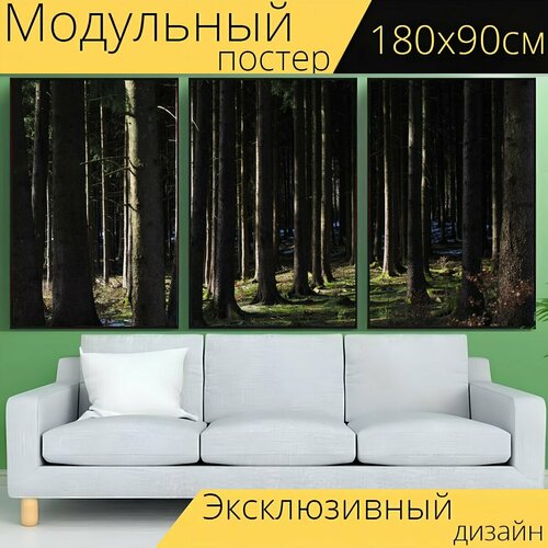 Модульный постер "Лес, деревья, стволы деревьев" 180 x 90 см. для интерьера