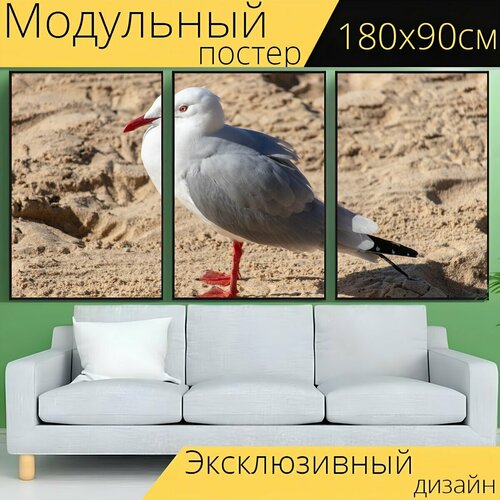 Модульный постер "Чайка, птица, песок" 180 x 90 см. для интерьера