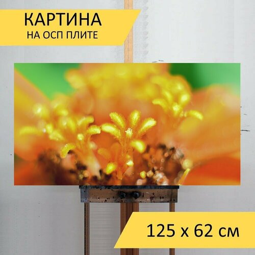 Картина на ОСП 125х62 см. "Цветок, желтый, апельсин" горизонтальная, для интерьера, с креплениями