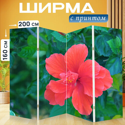 Ширма перегородка с принтом "Природа, завод, цветок" на холсте - 200x160 см. для зонирования, раскладная