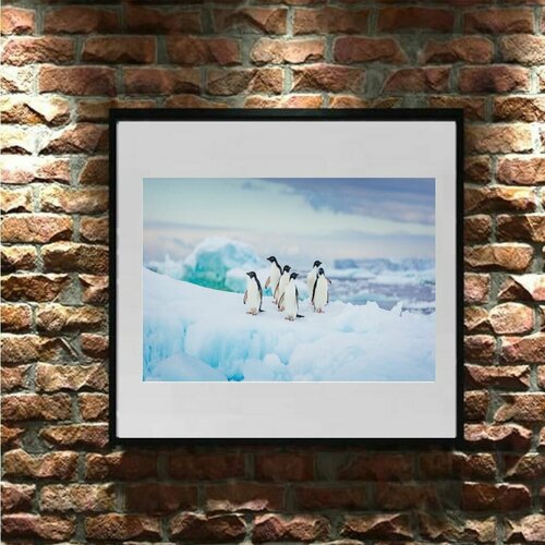 Постер "Пингвины в Арктике" Cool Eshe из коллекции "Природа", плакат А4 (29,7 х 21 см) для интерьера