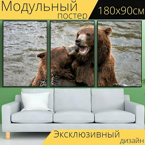 Модульный постер "Бурые медведи, играть, шерсть" 180 x 90 см. для интерьера