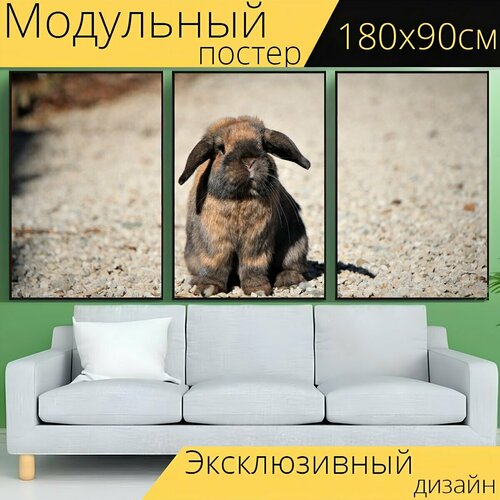 Модульный постер "Кролик, заяц, домашний питомец" 180 x 90 см. для интерьера