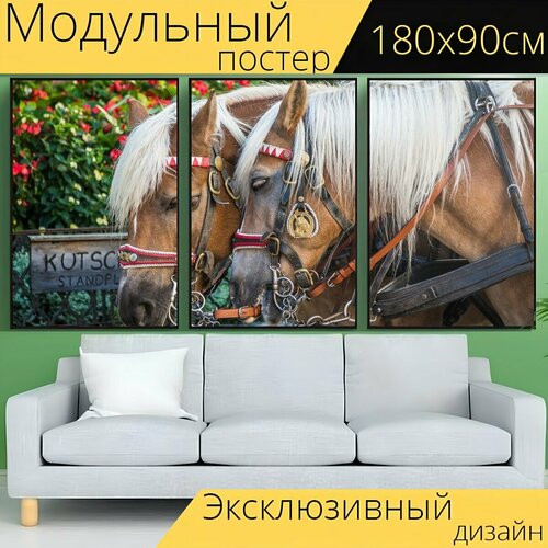 Модульный постер "Лошадь, повозка, лошади" 180 x 90 см. для интерьера