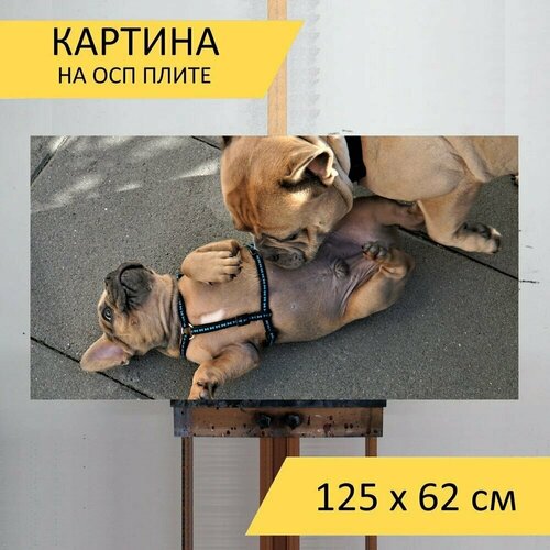 Картина на ОСП 125х62 см. "Французский бульдог, щенок, молодая собака" горизонтальная, для интерьера, с креплениями