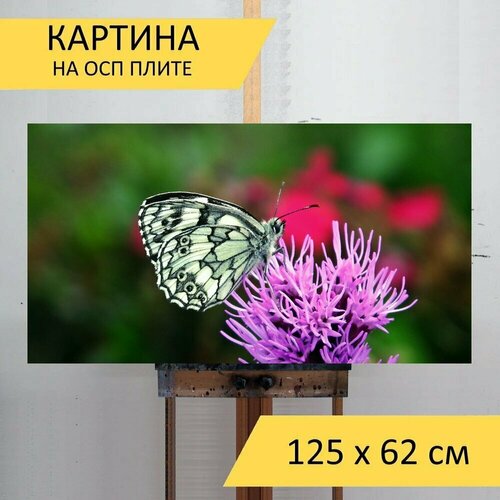 Картина на ОСП 125х62 см. "Бабочка, насекомое, цветы" горизонтальная, для интерьера, с креплениями
