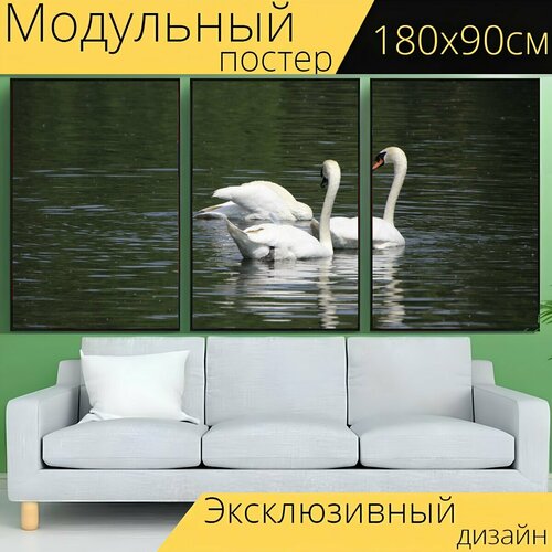 Модульный постер "Лебеди, птицы, озеро" 180 x 90 см. для интерьера