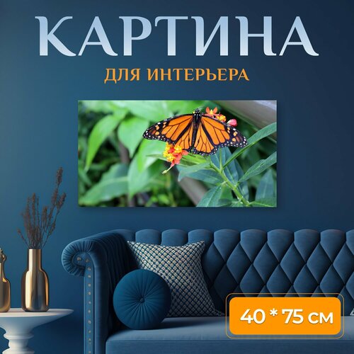 Картина на холсте "Бабочка, монарх, жук" на подрамнике 75х40 см. для интерьера