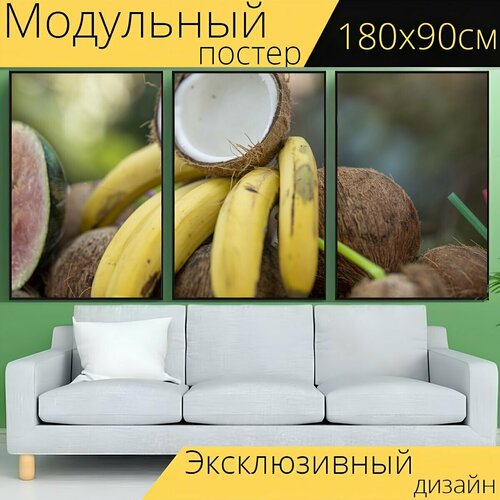 Модульный постер "Банан, кокос, фрукты" 180 x 90 см. для интерьера