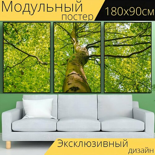Модульный постер "Корона дерева, весна, зеленый" 180 x 90 см. для интерьера