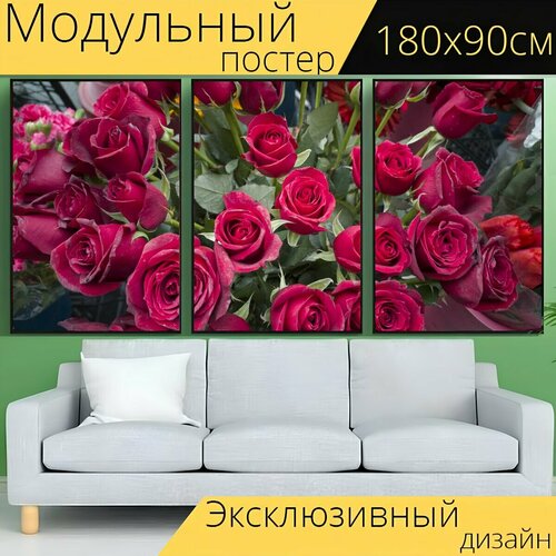 Модульный постер "Роуз, красный, цветок" 180 x 90 см. для интерьера