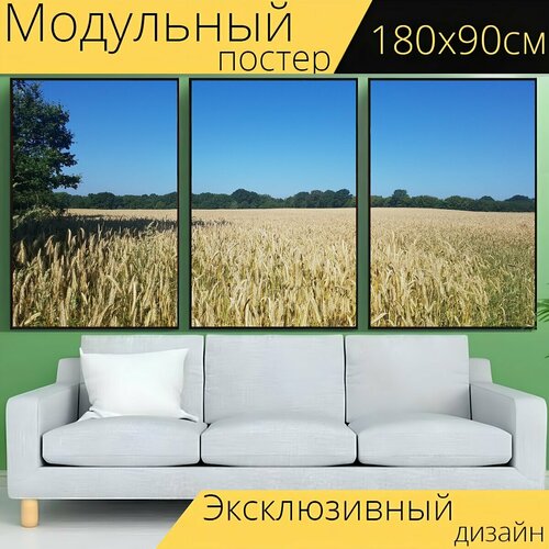 Модульный постер "Зерновое поле, небеса, природа" 180 x 90 см. для интерьера