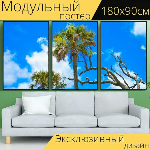 Модульный постер "Глупый пляж, небо, пальмы" 180 x 90 см. для интерьера