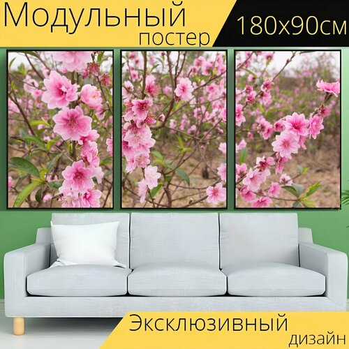 Модульный постер "Персик, персиковый цветок, весна" 180 x 90 см. для интерьера
