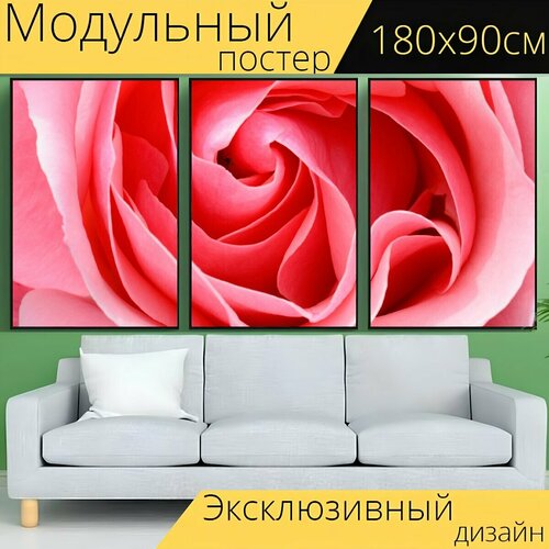 Модульный постер "Роза, розовый, лепестки" 180 x 90 см. для интерьера