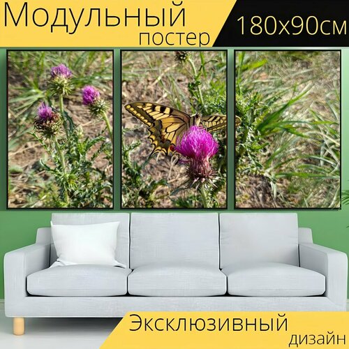 Модульный постер "Бабочка, природа, цветы" 180 x 90 см. для интерьера