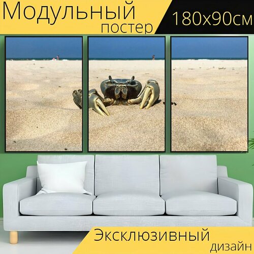 Модульный постер "Пляж, песок, краб" 180 x 90 см. для интерьера