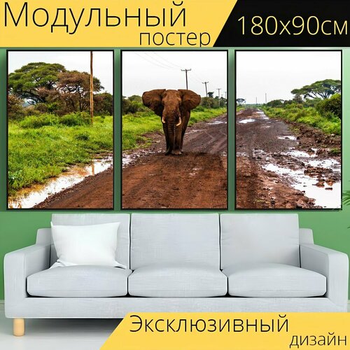 Модульный постер "Национальный парк амбосели, слоны, кения" 180 x 90 см. для интерьера