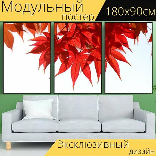 Модульный постер "Осенние листья, кленовый лист, кленовое дерево" 180 x 90 см. для интерьера
