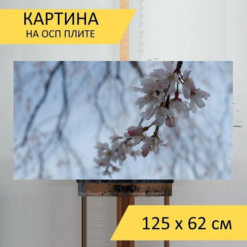Картина на ОСП 125х62 см. "Цветение вишни, цветы, весна" горизонтальная, для интерьера, с креплениями