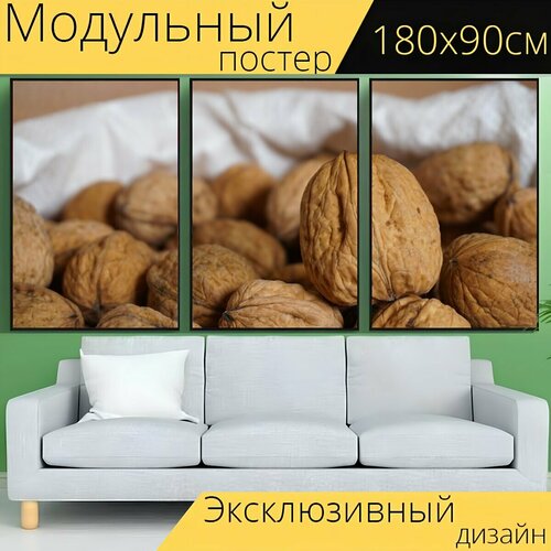 Модульный постер "Грецкий орех, орехи, сухофрукт" 180 x 90 см. для интерьера