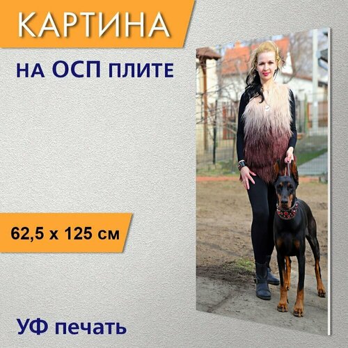 Вертикальная картина на ОСП "Доберман, собака, отлично" 62x125 см. для интерьериа
