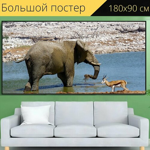 Большой постер "Слон, животное, млекопитающее" 180 x 90 см. для интерьера