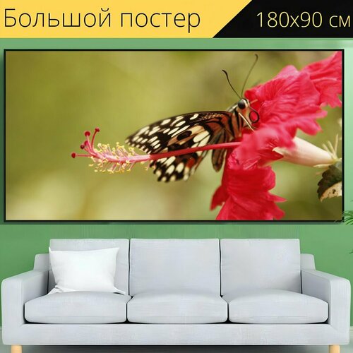 Большой постер "Природа, бабочка, пейзаж" 180 x 90 см. для интерьера