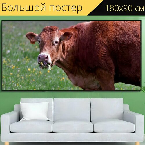 Большой постер "Корова, язык, ест" 180 x 90 см. для интерьера