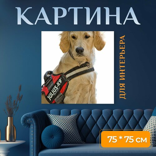 Картина на холсте "Собака, золотистый ретривер, животное" на подрамнике 75х75 см. для интерьера