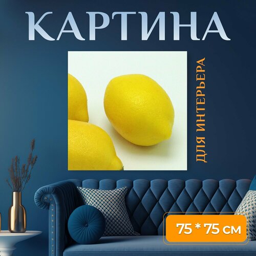 Картина на холсте "Лимоны, цитрусовые, весь" на подрамнике 75х75 см. для интерьера