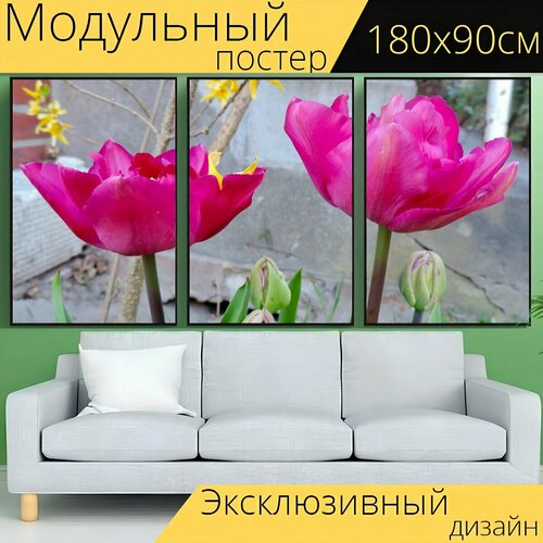 Модульный постер "Тюльпаны, лили, весна" 180 x 90 см. для интерьера
