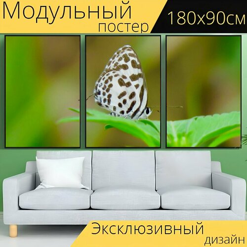 Модульный постер "Бабочка, насекомое, завод" 180 x 90 см. для интерьера
