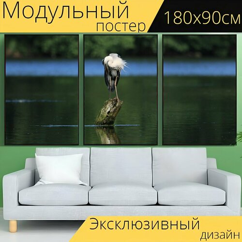 Модульный постер "Цапля, озеро, вода" 180 x 90 см. для интерьера