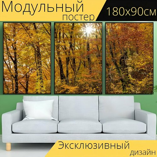 Модульный постер "Пейзаж, лес, осень" 180 x 90 см. для интерьера