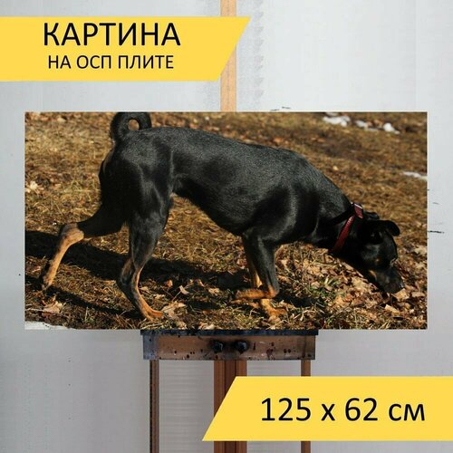 Картина на ОСП 125х62 см. "Собака, прогулка, животных" горизонтальная, для интерьера, с креплениями