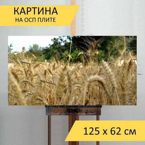 Картина на ОСП 125х62 см. "Пшеница, спелый, летом" горизонтальная, для интерьера, с креплениями