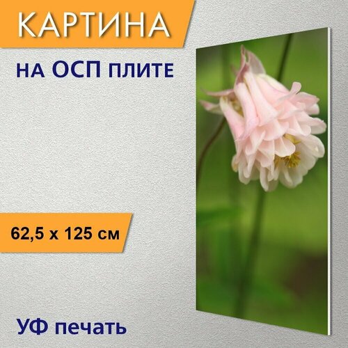 Вертикальная картина на ОСП "Колумбия, цвести, цветок" 62x125 см. для интерьериа