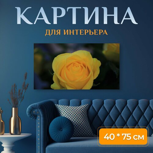 Картина на холсте "Роза, желтый, цвести" на подрамнике 75х40 см. для интерьера