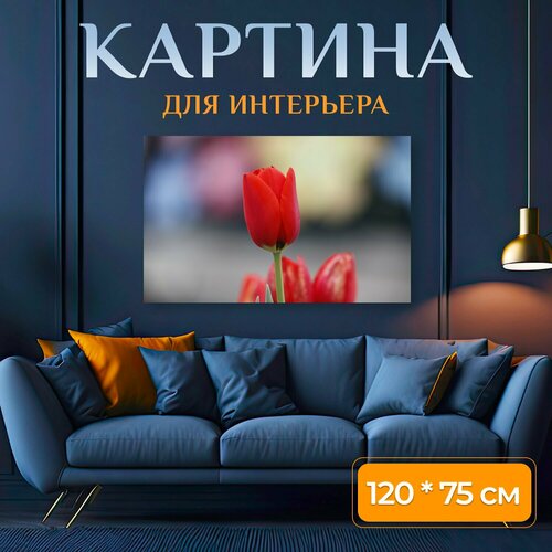 Картина на холсте "Тюльпан, цветок, природа" на подрамнике 120х75 см. для интерьера