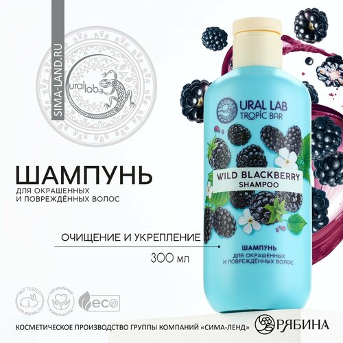 Шампунь для волос, очищение и укрепление, 300 мл, аромат ежевики, TROPIC BAR by URAL LAB