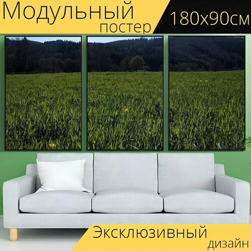 Модульный постер "Трава, природа, луг" 180 x 90 см. для интерьера