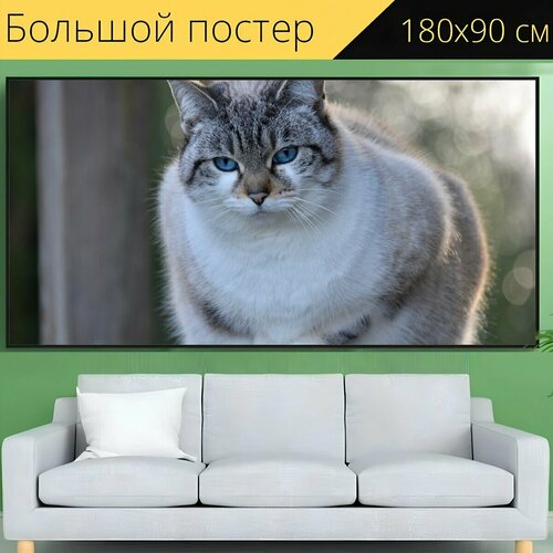Большой постер "Кошка, трюфель кошка, нос кошки" 180 x 90 см. для интерьера