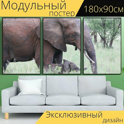 Модульный постер "Слон, африке, танзания" 180 x 90 см. для интерьера
