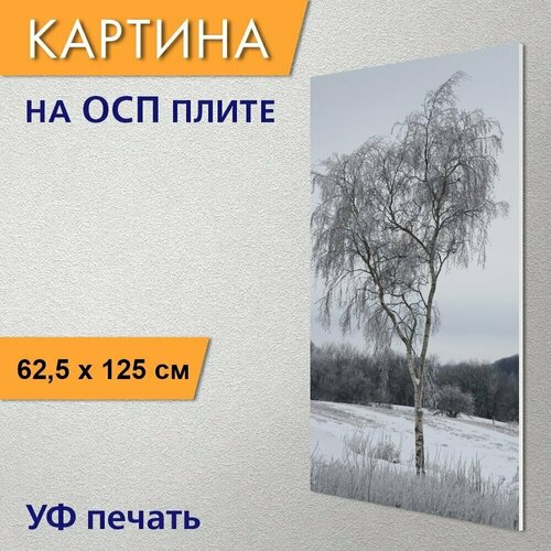 Вертикальная картина на ОСП "Зима, снег, холодный" 62x125 см. для интерьериа