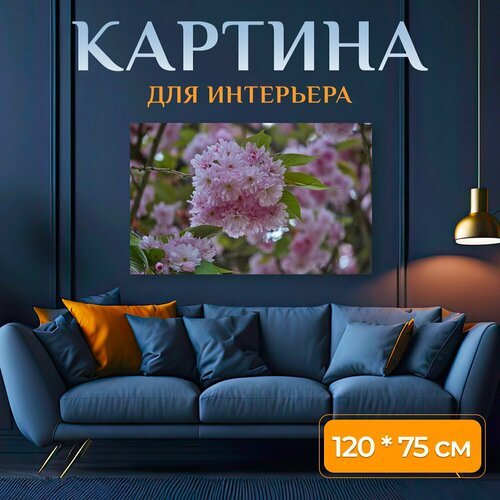Картина на холсте "Вишня в цвету, парк, весна" на подрамнике 120х75 см. для интерьера