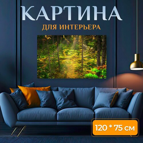 Картина на холсте "Лес, солнечный свет, природа" на подрамнике 120х75 см. для интерьера