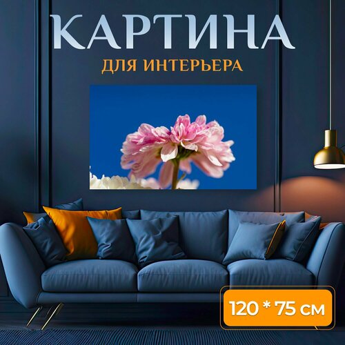 Картина на холсте "Астра, цветочная пыльца, лепестки" на подрамнике 120х75 см. для интерьера