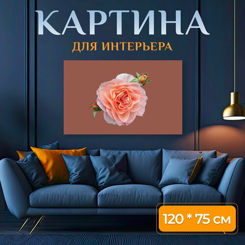 Картина на холсте "Роза, розовый, лепестки" на подрамнике 120х75 см. для интерьера