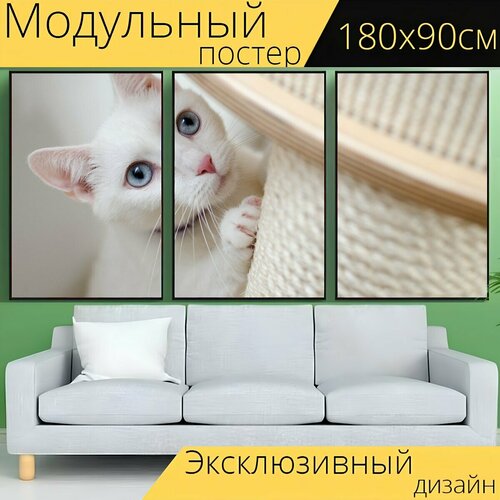 Модульный постер "Белый, кошка, котенок" 180 x 90 см. для интерьера